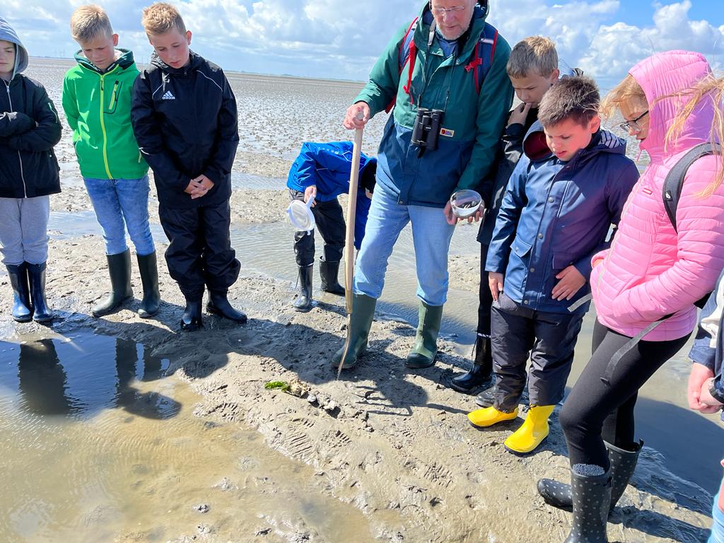 Piraten Ahoi! – Fünftklässler des Gymnasium Antonianum Geseke entern ...